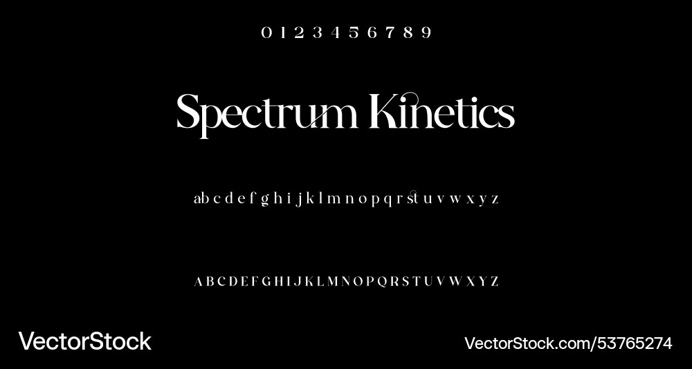 Premium luxury elegant alphabet letters Royalty Free Vector