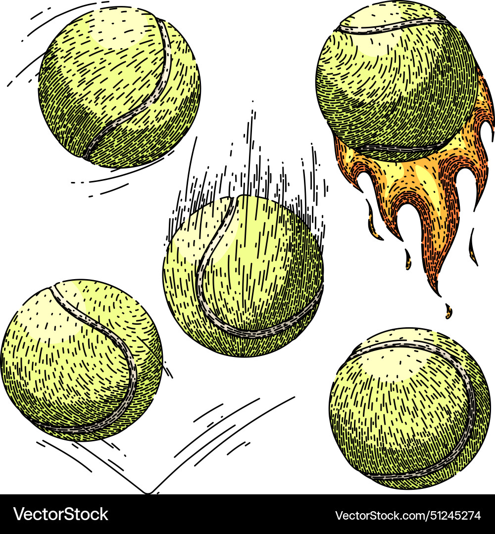 Tennis ball set sketch hand drawn Royalty Free Vector Image