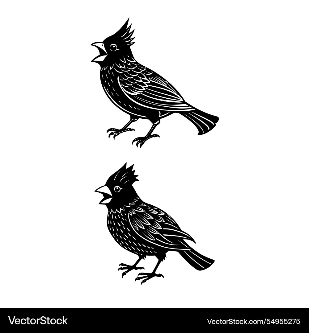 Bird music notes Royalty Free Vector Image - VectorStock