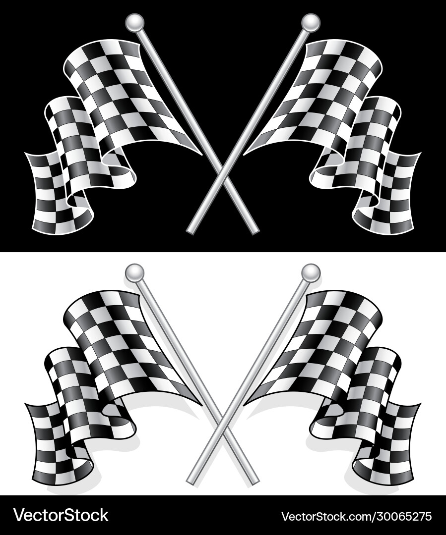 High quality double checkered flag Royalty Free Vector Image