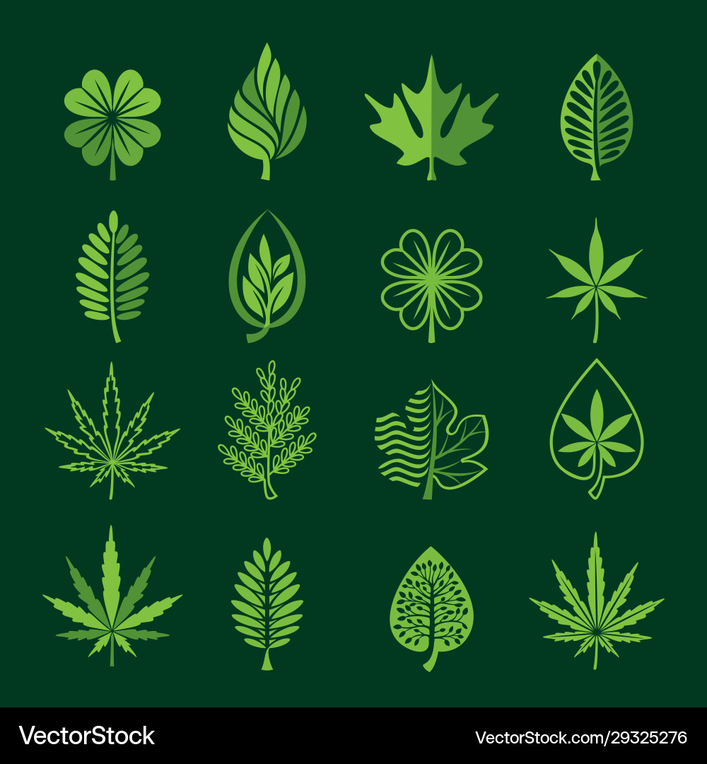 Leaf icons on dark background Royalty Free Vector Image