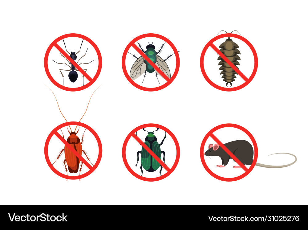 Stop insects and pests signs cartoon set Vector Image