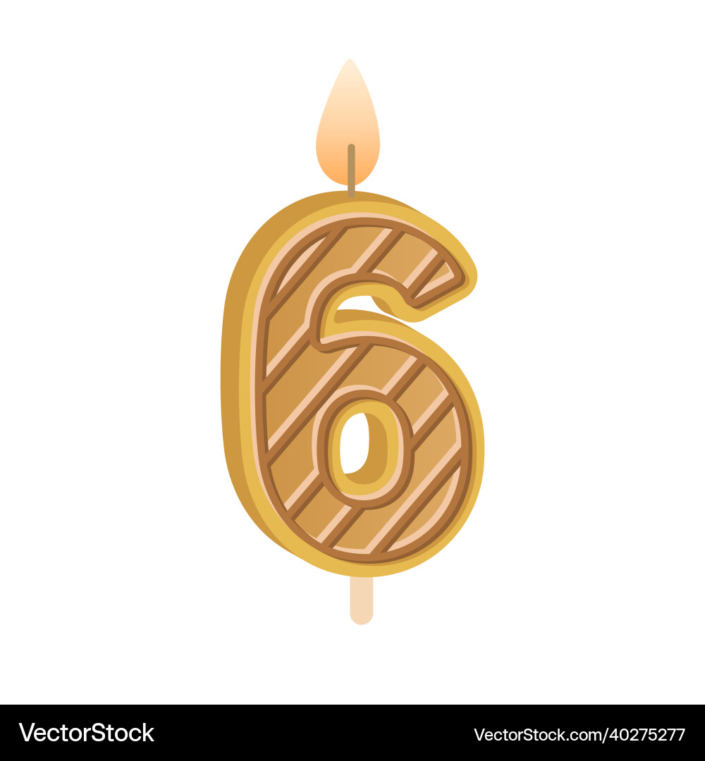6 number candle for birthday cake wax decor Vector Image