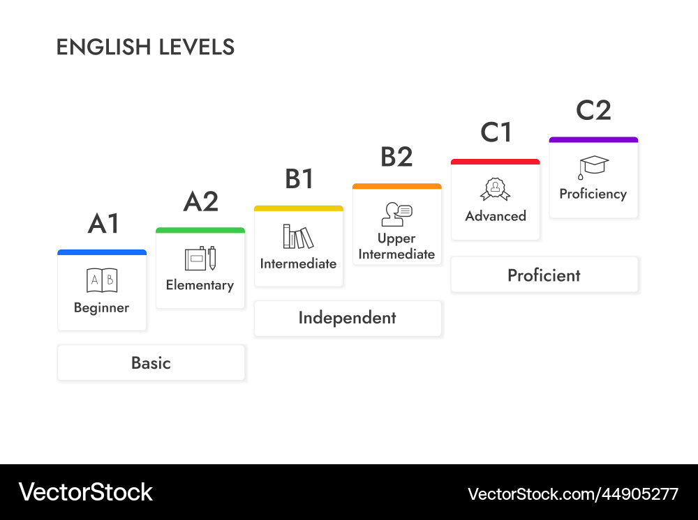 English levels infographics Royalty Free Vector Image