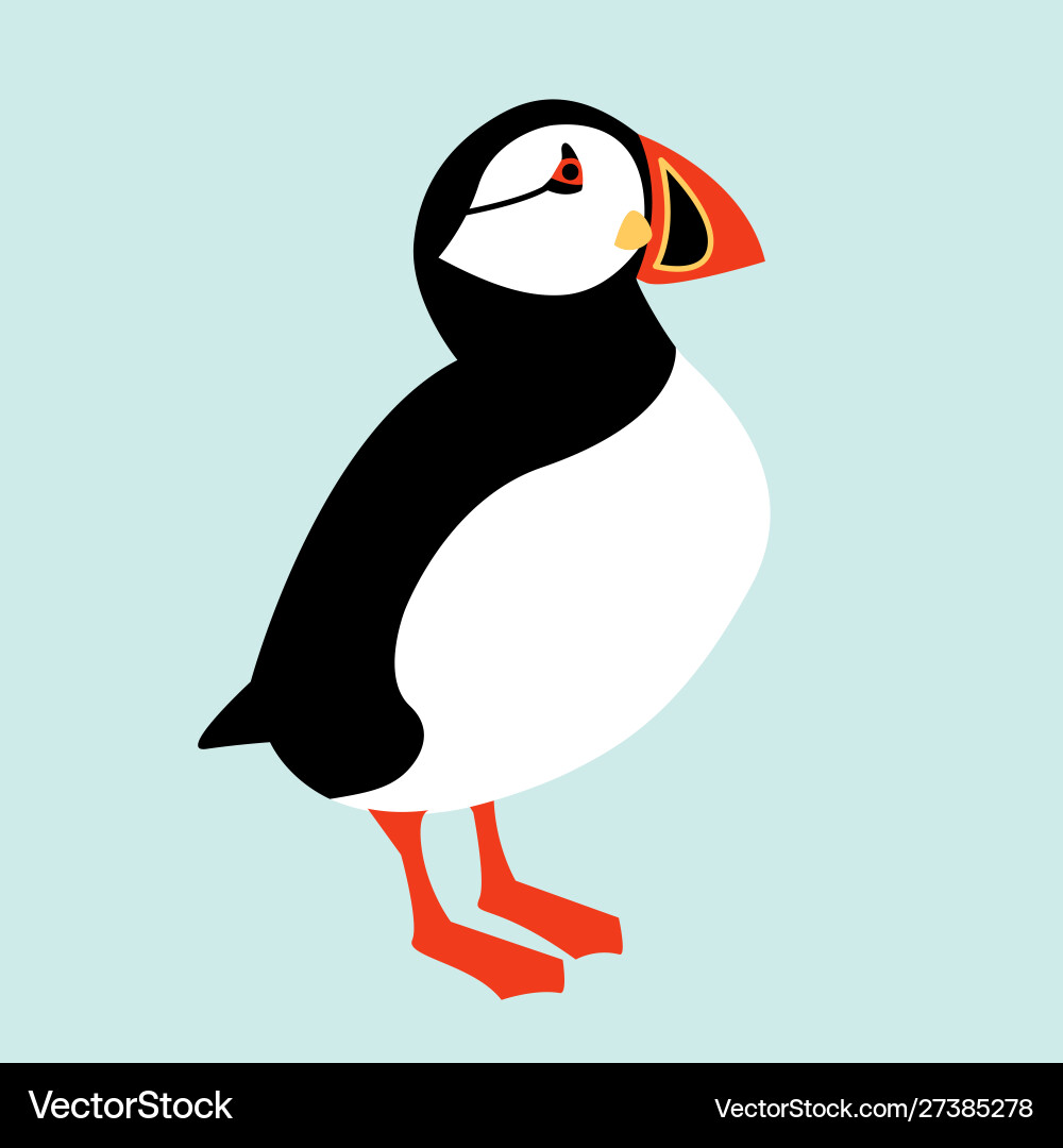 Icelandic puffin bird icon Royalty Free Vector Image