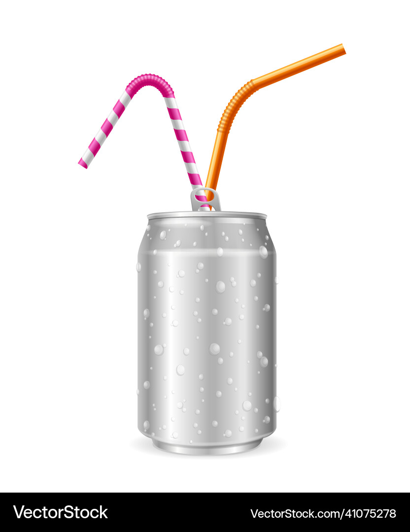 Realistic detailed 3d empty template steel can Vector Image