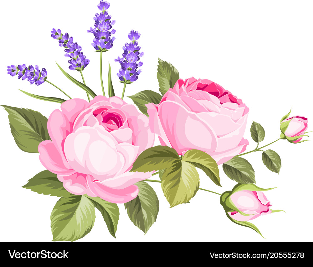 Spring flowers bouquet Royalty Free Vector Image