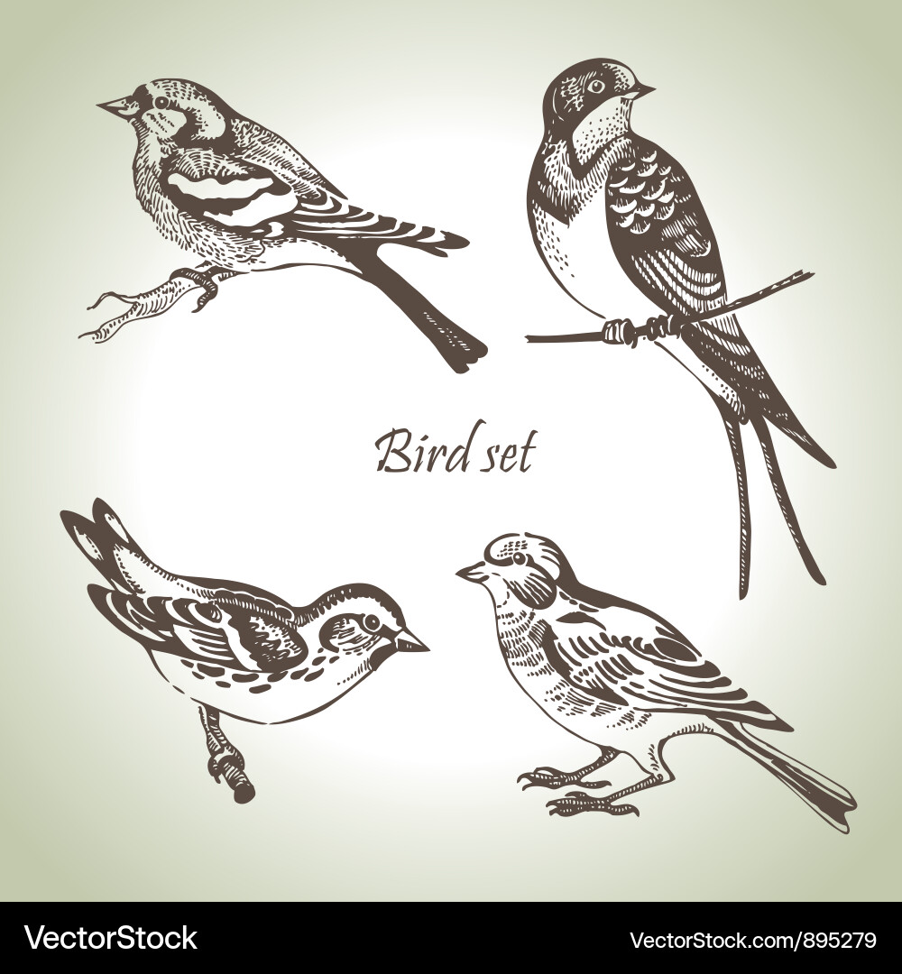 Bird set Royalty Free Vector Image - VectorStock