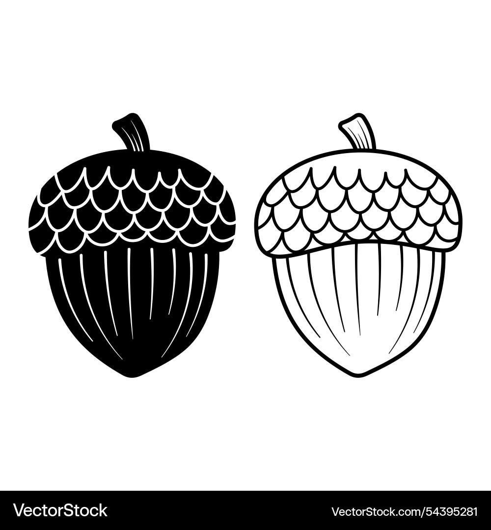 Acorn outline Royalty Free Vector Image - VectorStock