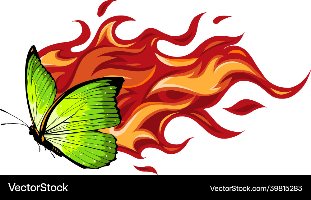 A butterfly made of fire Royalty Free Vector Image
