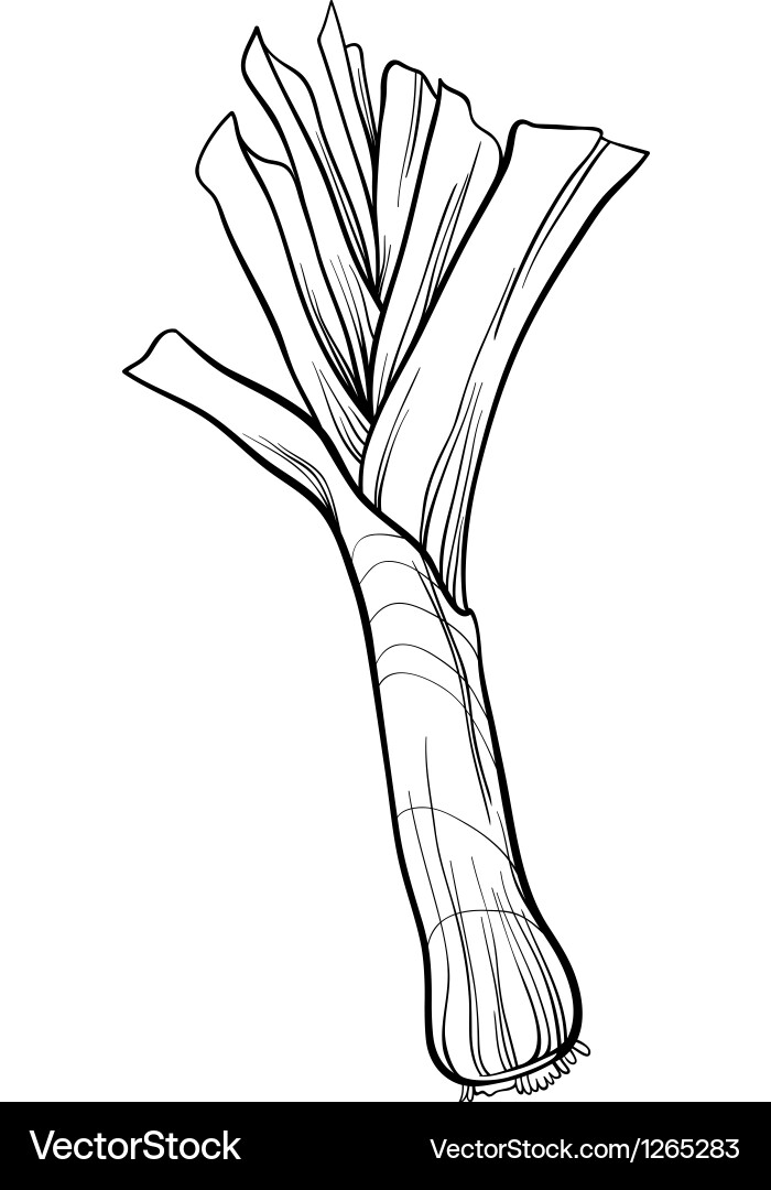 Leek vegetable cartoon for coloring book Vector Image