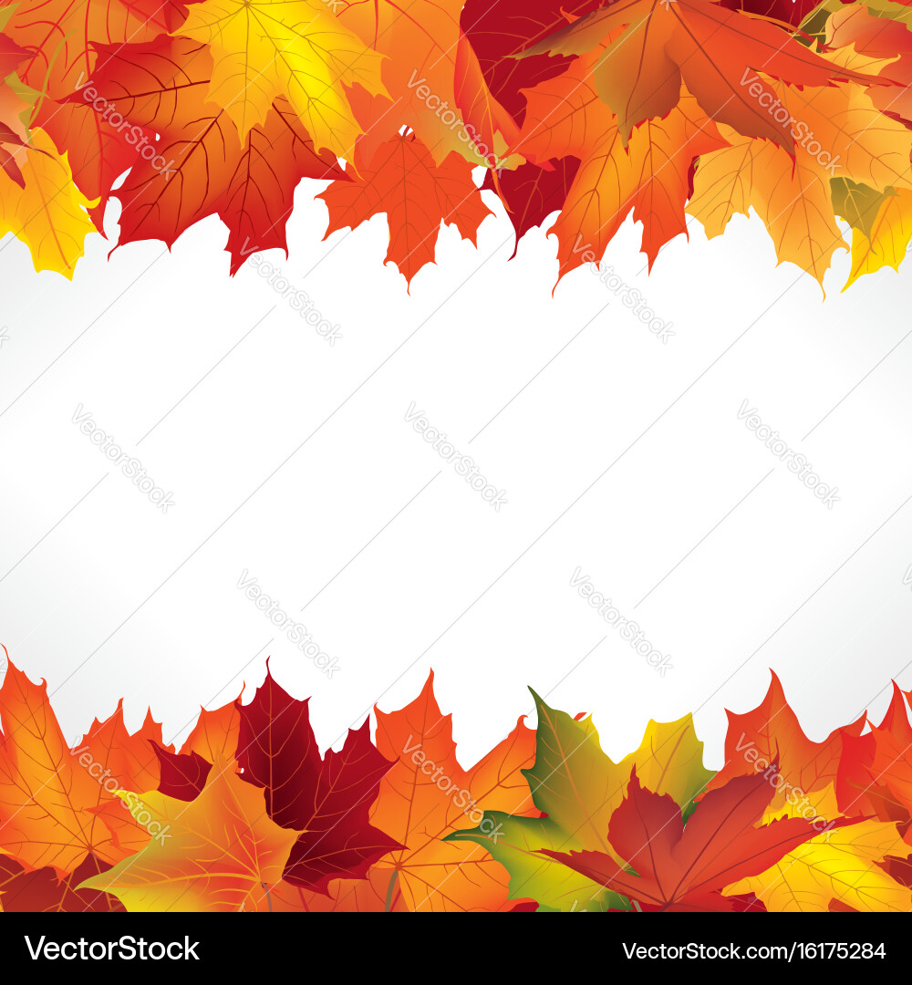 Autumn Maple Leaf Border Royalty Free Vector Image