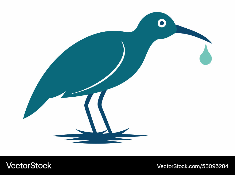 Bird drinking water f Royalty Free Vector Image