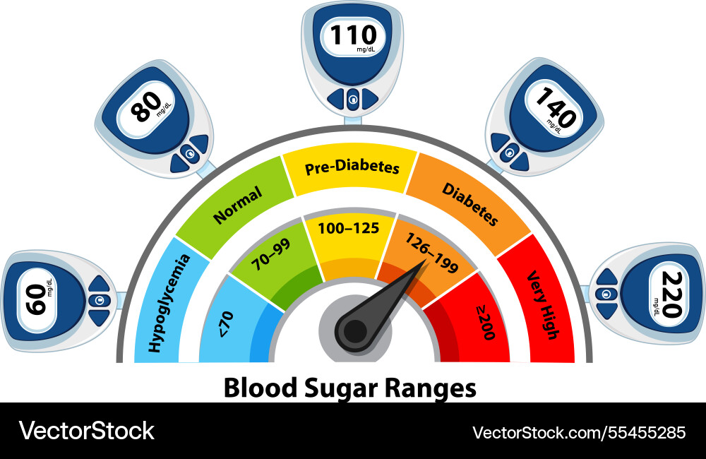 Blood sugar ranges and categories Royalty Free Vector Image