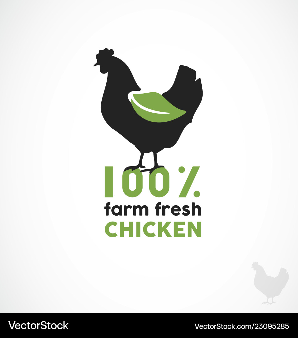 Farm fresh chicken Royalty Free Vector Image - VectorStock