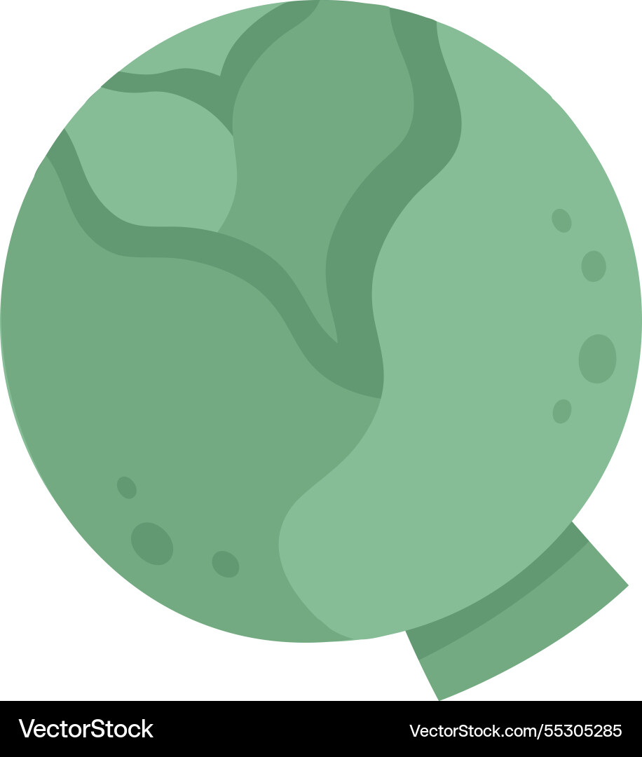 Freshly harvested cabbage with a vibrant green Vector Image