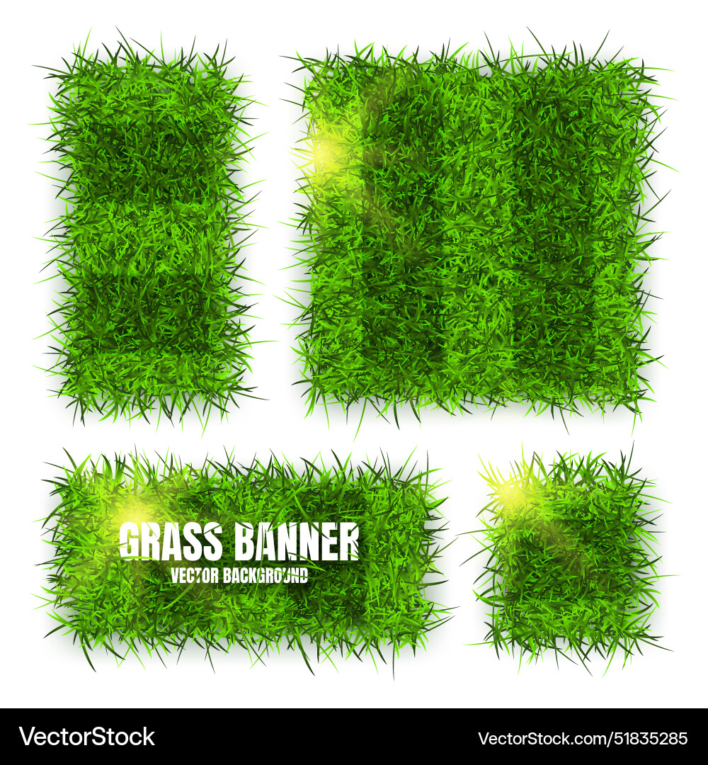 Green grass banners background field meadow Vector Image