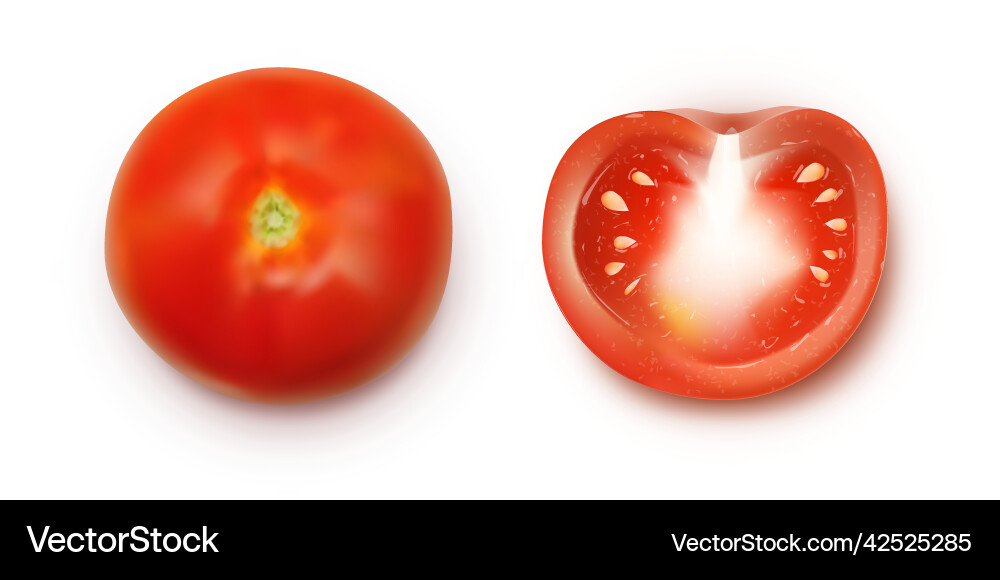 Realistic sliced half tomato isolated on white Vector Image