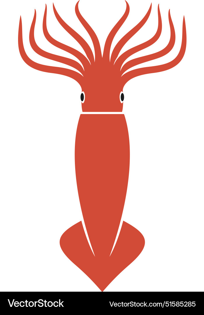 Squid Royalty Free Vector Image - VectorStock