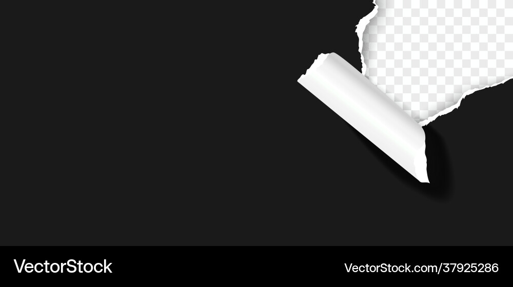 Black realistic torn paper corner with curl Vector Image