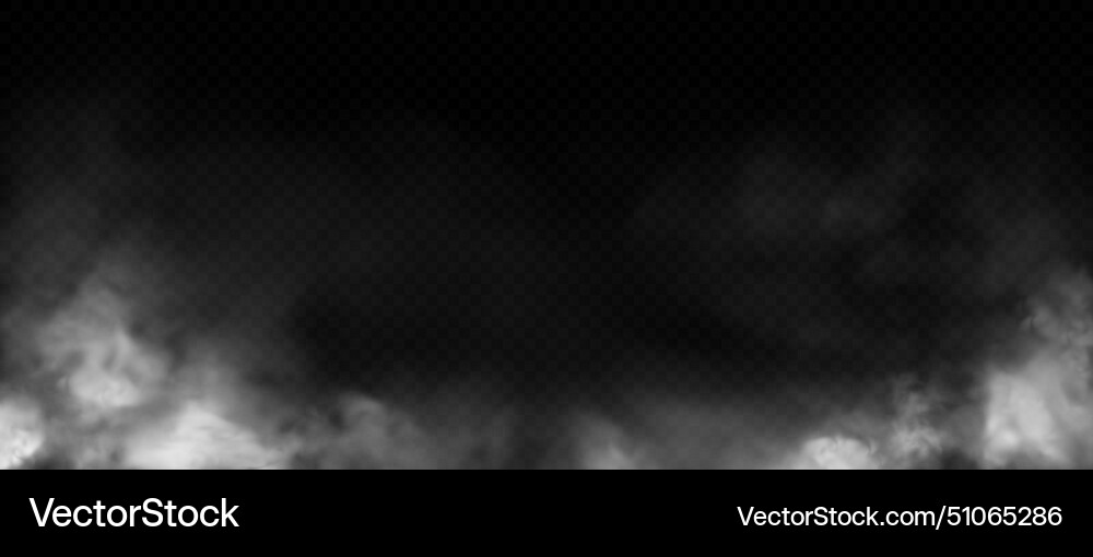 White smoke texture isolated on transparent Vector Image