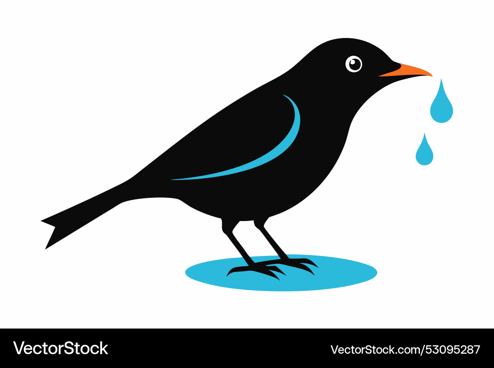 Bird drinking water g Royalty Free Vector Image