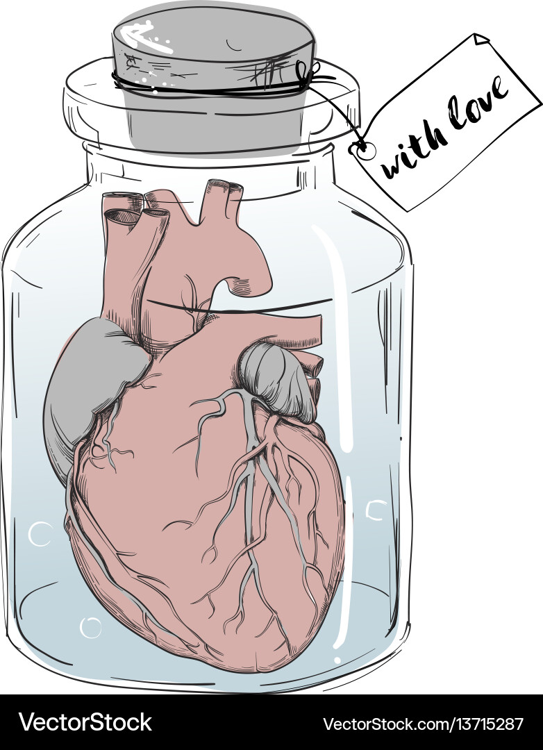 Heart - funny anatomy joke Royalty Free Vector Image