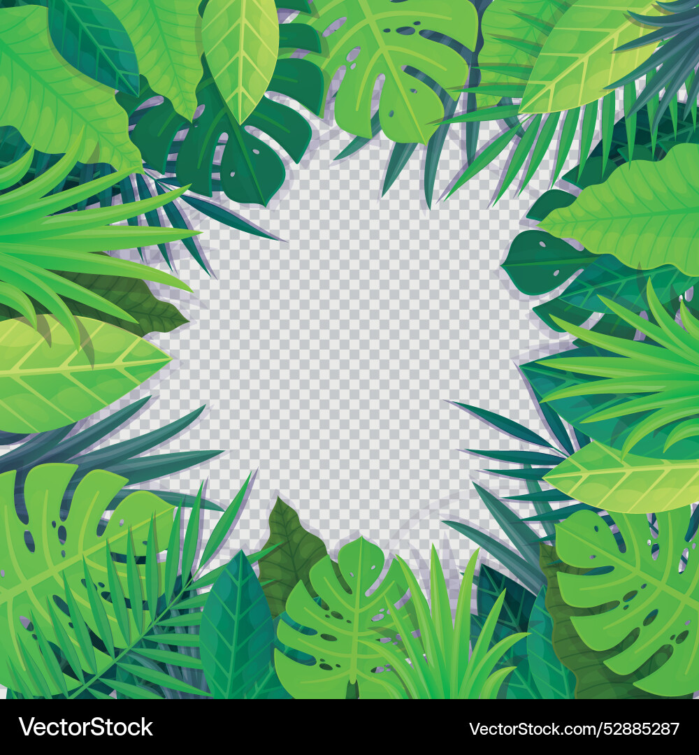 Tropical leaf square frame green jungle foliage Vector Image