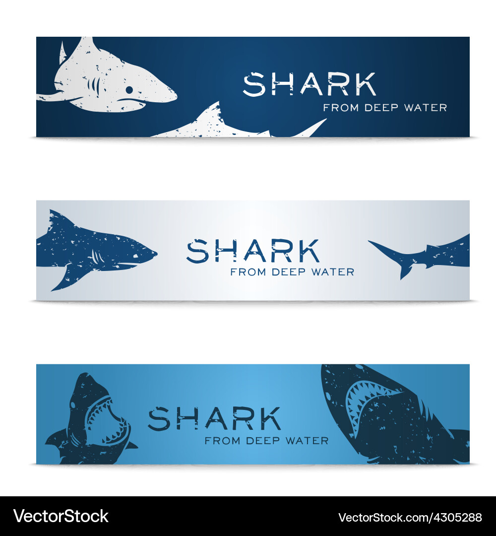 Set of banners with sharks Royalty Free Vector Image