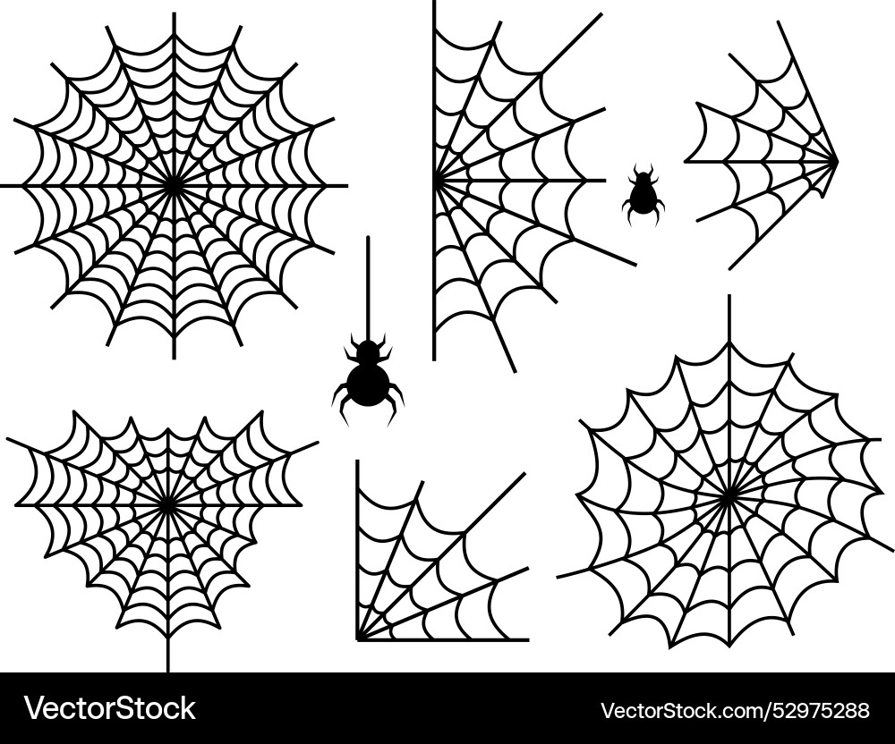Spiders web set clipart with no background Vector Image