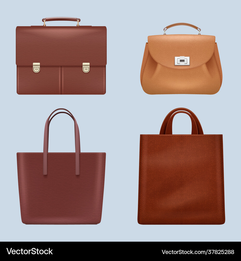 Vintage Brown Leather Briefcases Royalty Free Vector Image