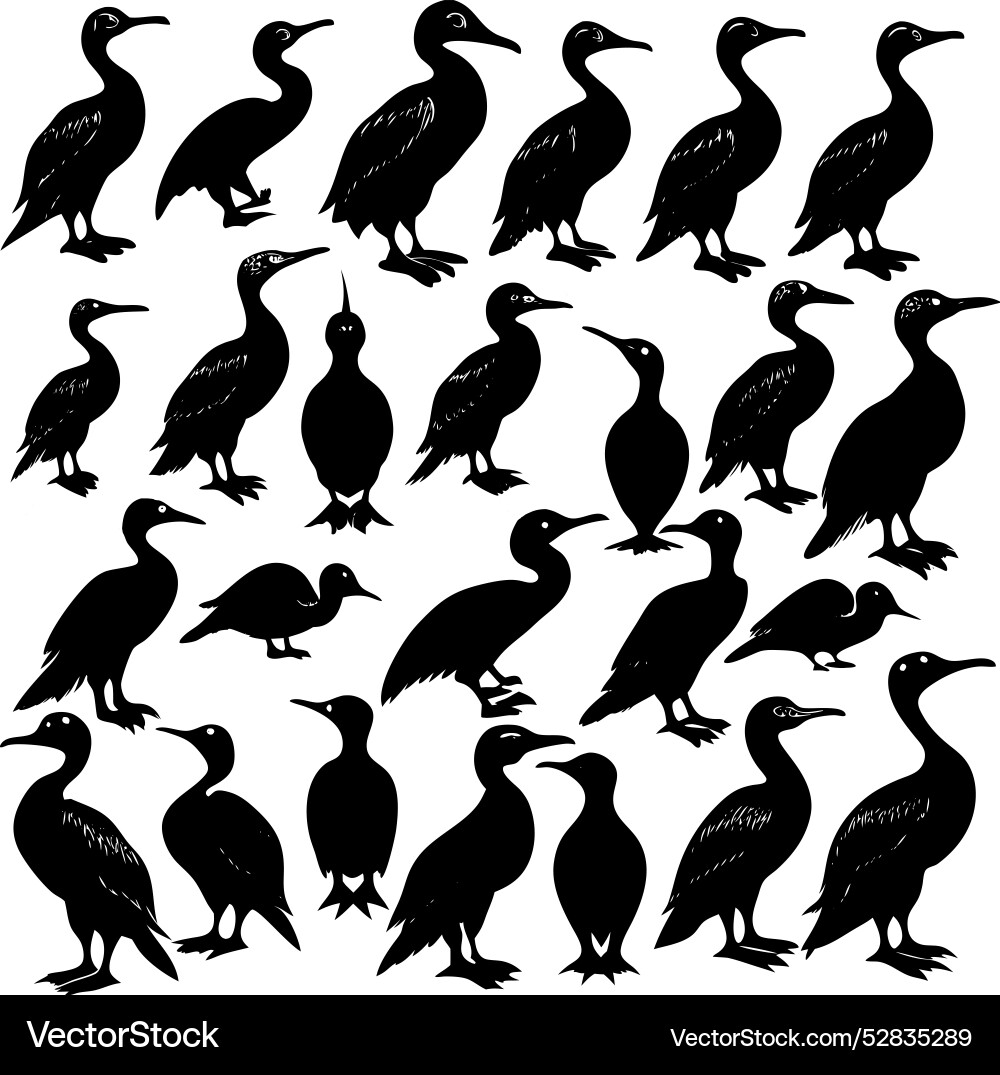 Cormorant silhouette black Royalty Free Vector Image