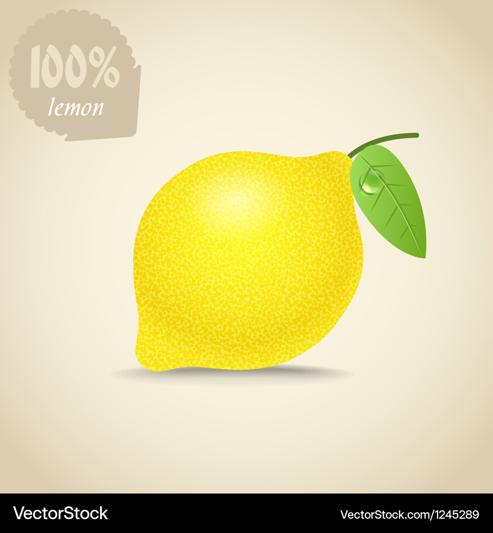 Fresh Lemon Slice Royalty Free Vector Image - VectorStock