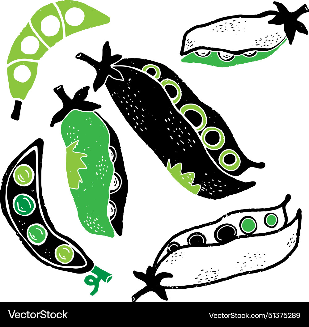 Peas texture graphic elements set collection Vector Image