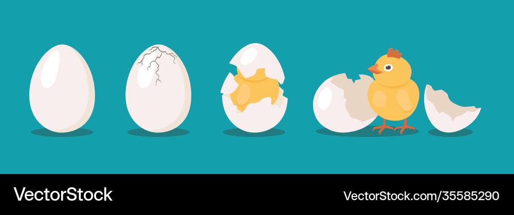 Hatching bird process set Royalty Free Vector Image