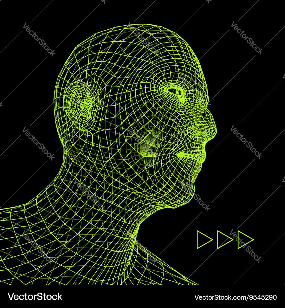 Head 3d grid geometric face design Royalty Free Vector Image