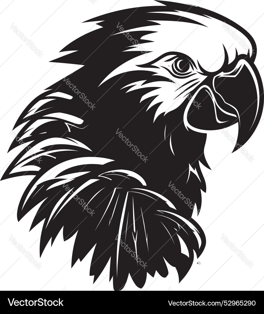 Parrots colorburst beauty logo design tropical Vector Image