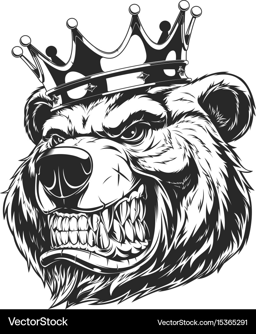 Cartoon Bear Face Vector Images (over 23,000)