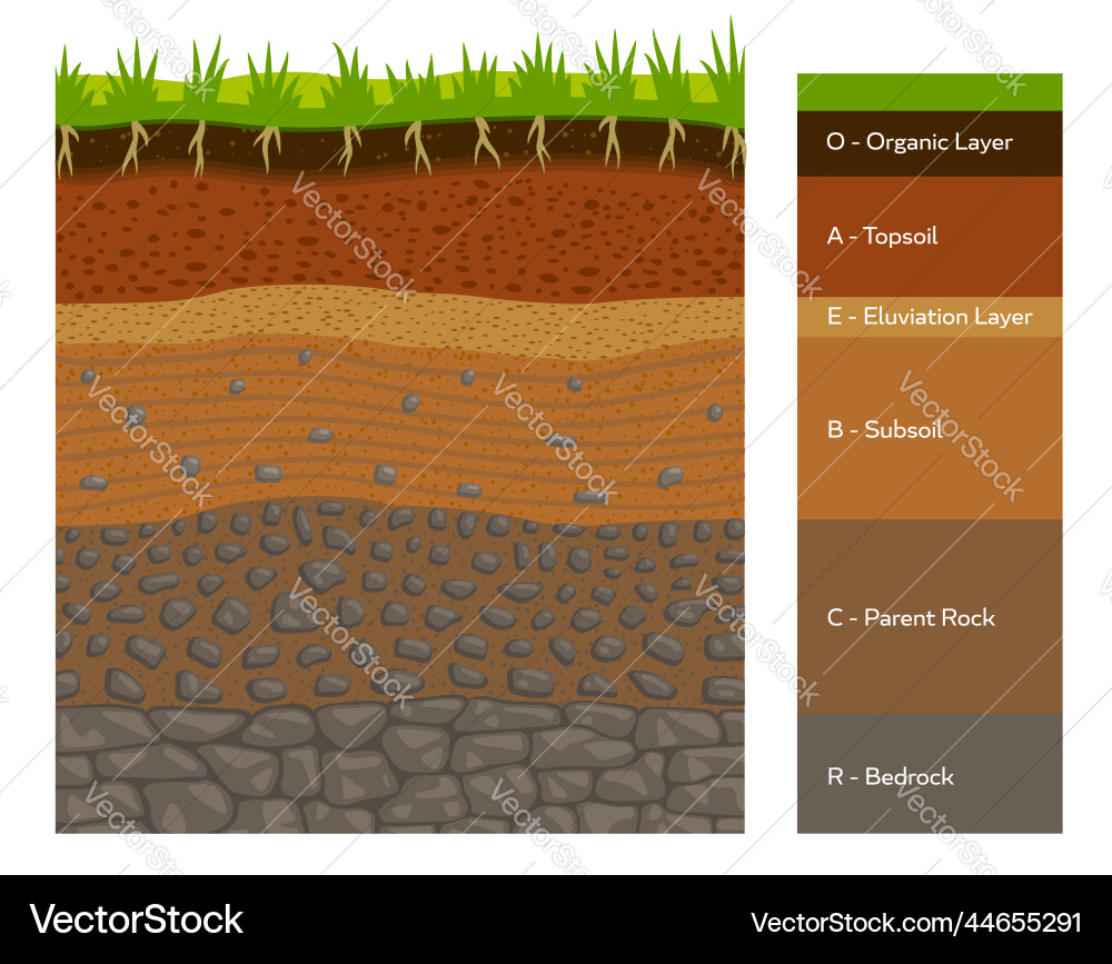 Soil layer infographic earth geology formation Vector Image
