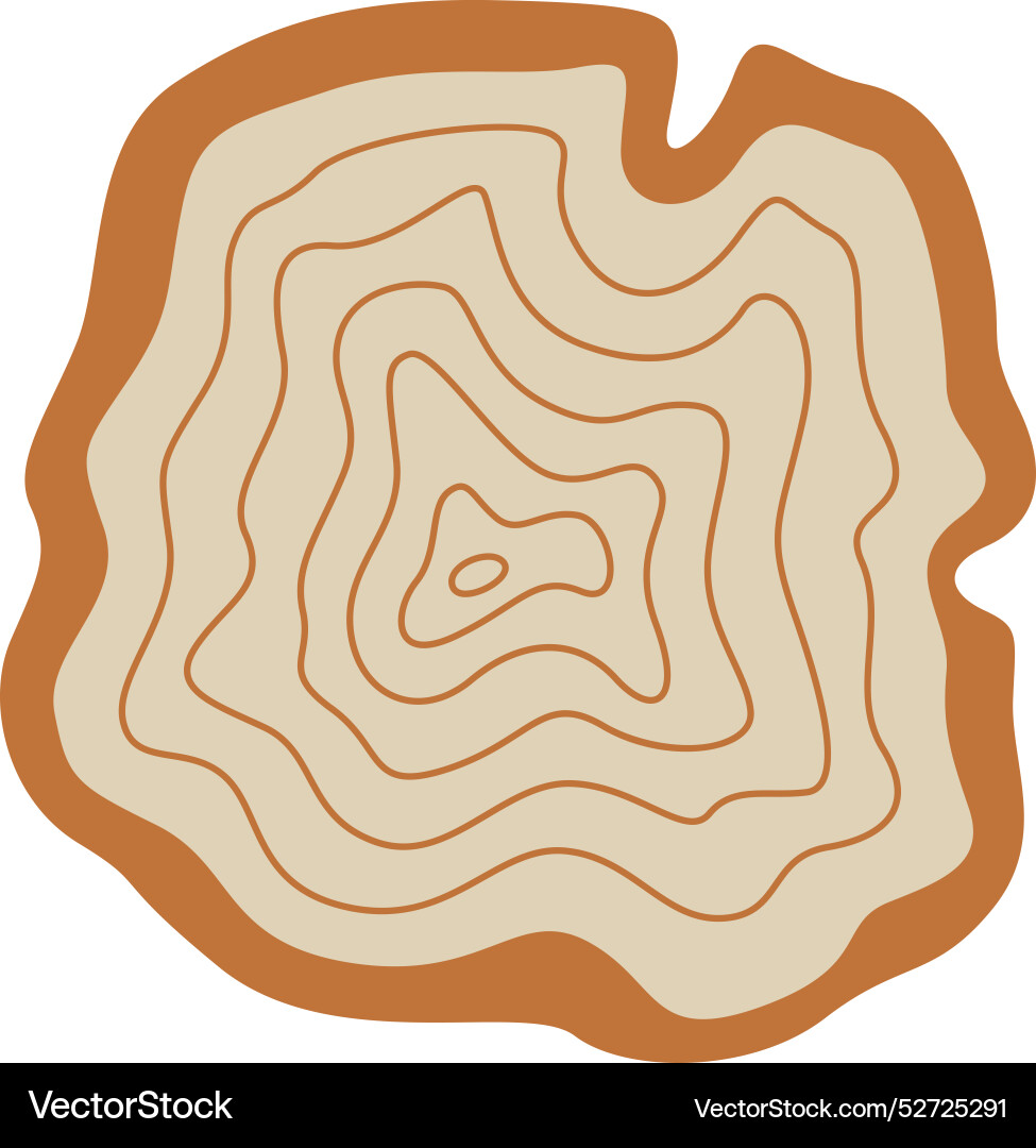 Tree ring slice Royalty Free Vector Image - VectorStock