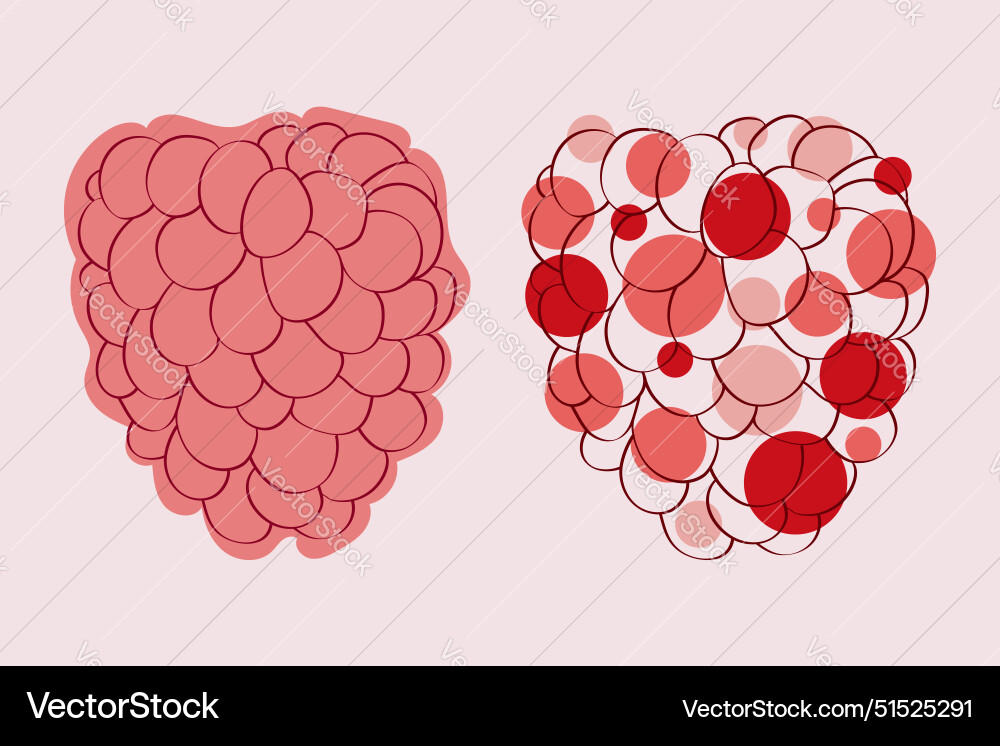 Two simple line drawings of raspberries Royalty Free Vector