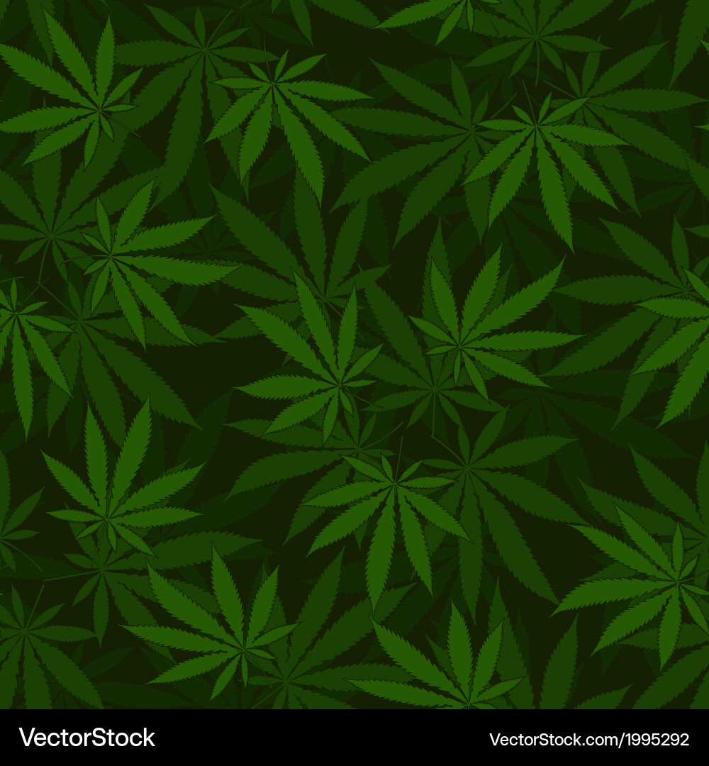 Cannabis seamless pattern Royalty Free Vector Image