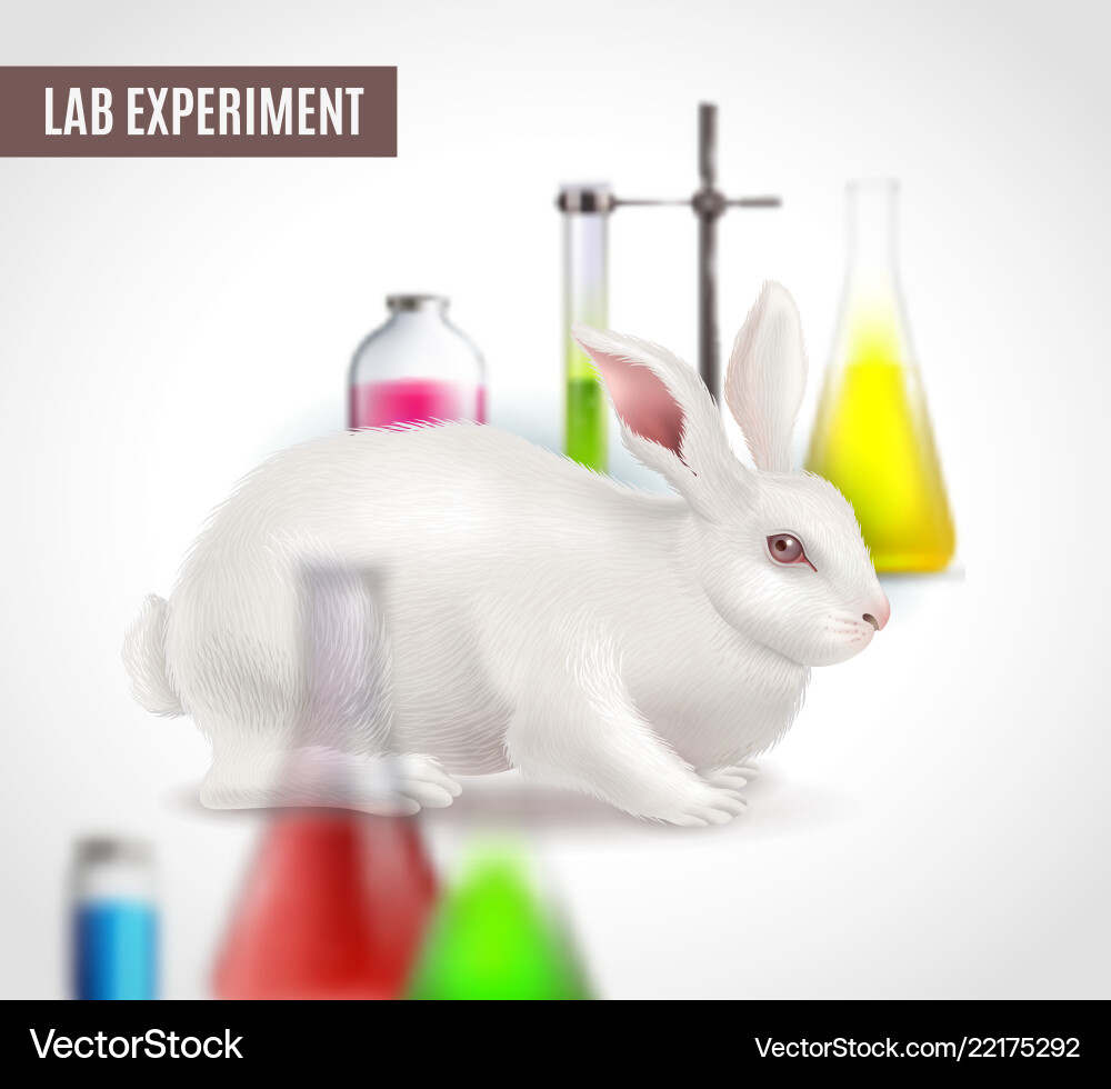Lab experiment poster Royalty Free Vector Image