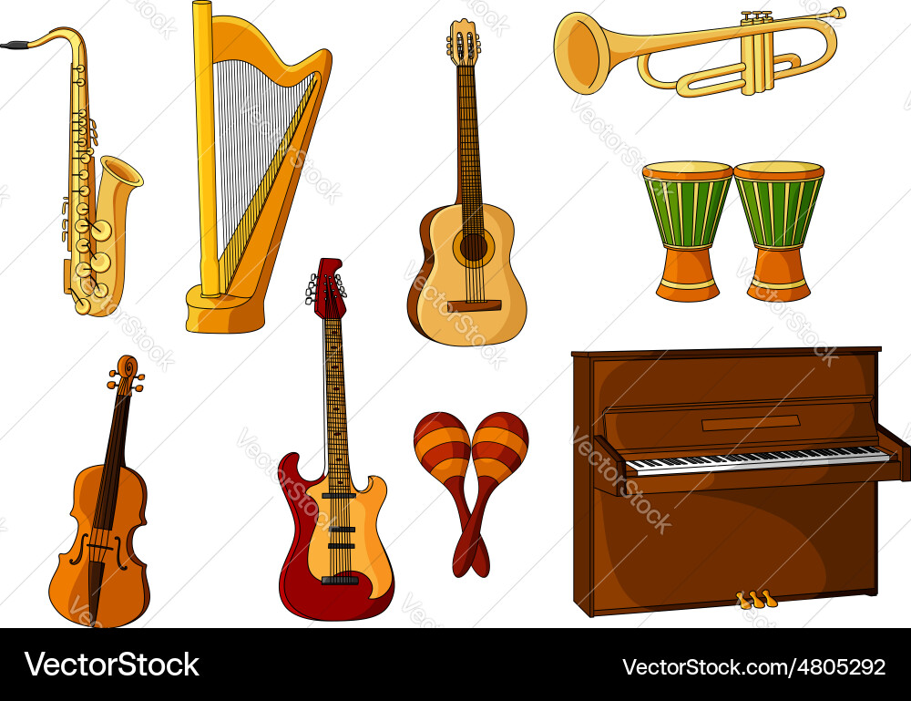 Large set of various musical instruments Vector Image