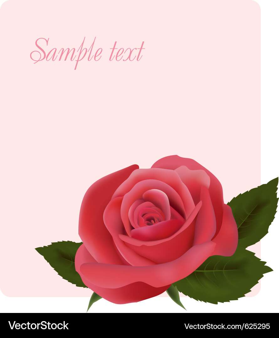 Card with beautiful pink rose Royalty Free Vector Image