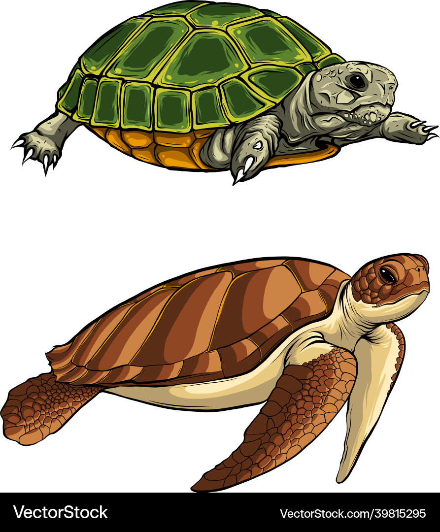 Set turtle in style Royalty Free Vector Image - VectorStock