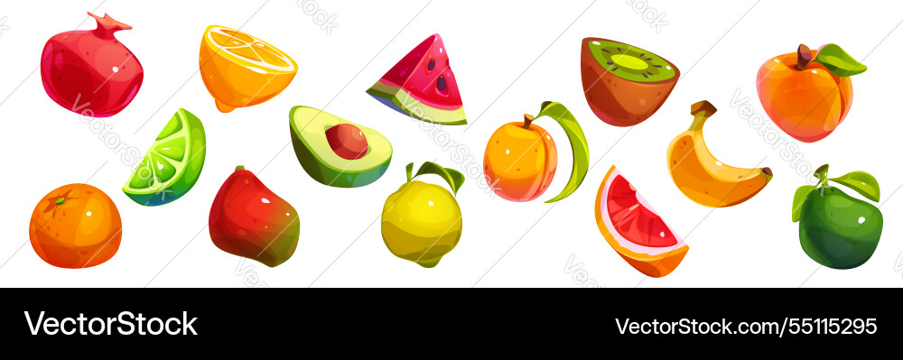 Summer fruit collection Royalty Free Vector Image