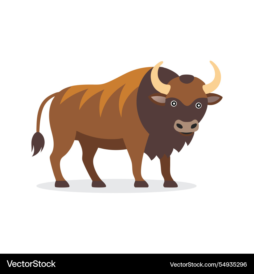 Buffalo animal isolated flat on white background Vector Image