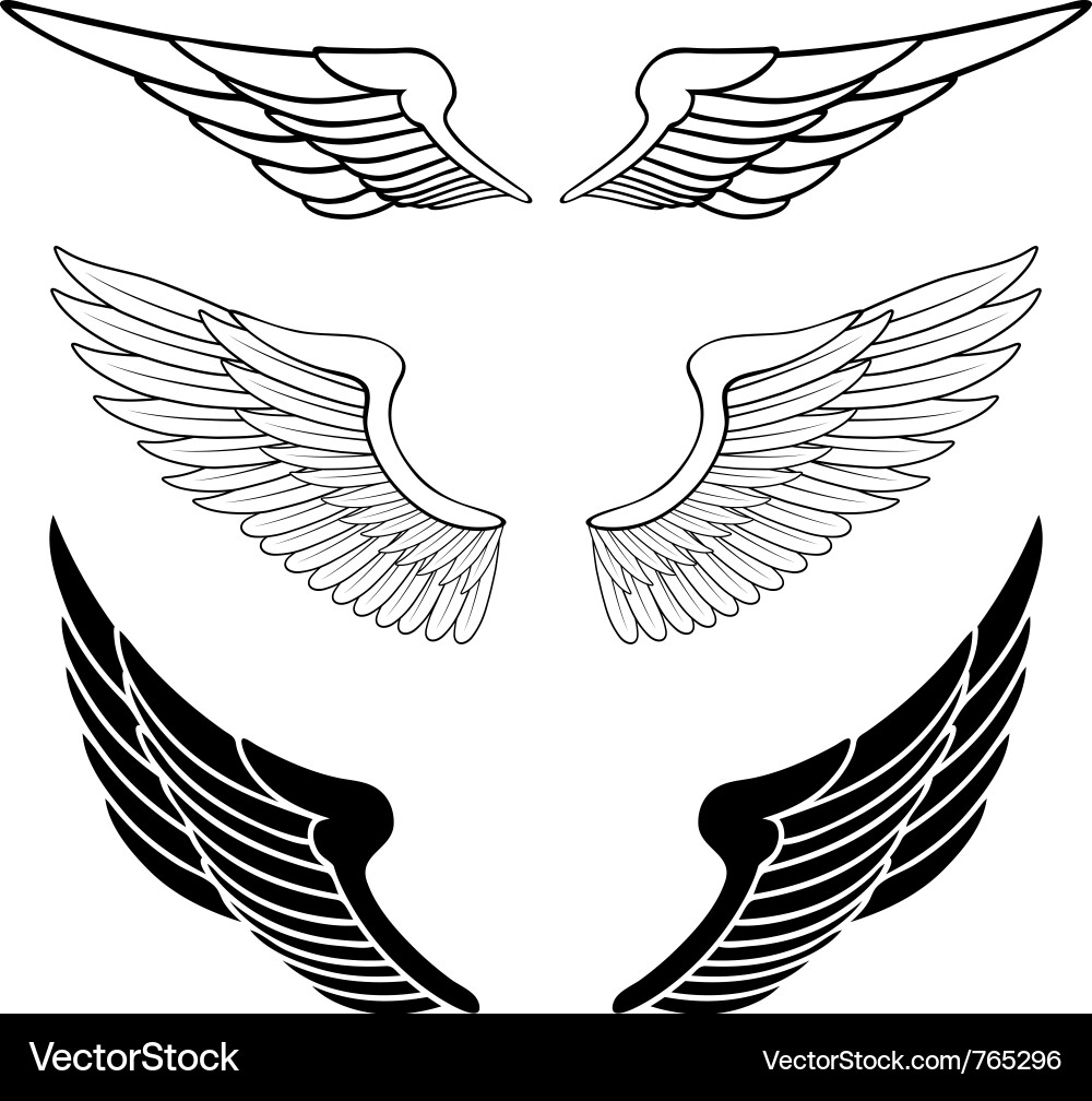 Set of wings Royalty Free Vector Image - VectorStock
