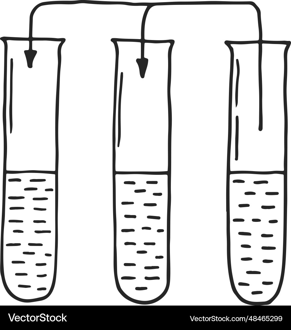 Chemical test tubes with liquids laboratory Vector Image